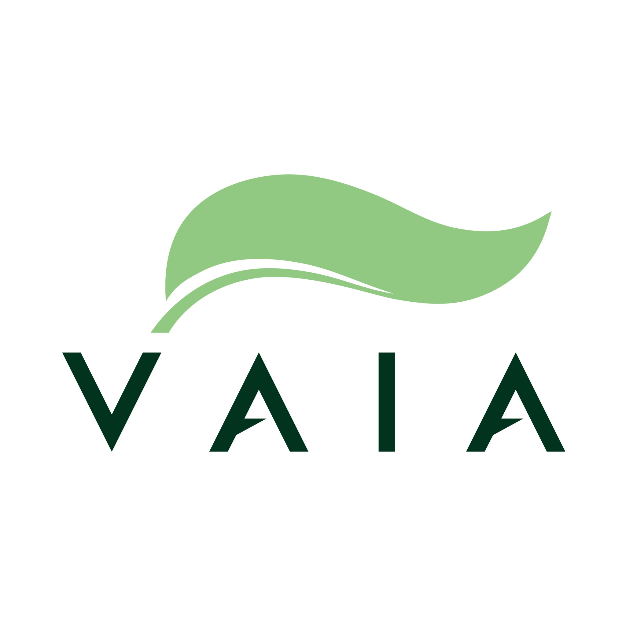 VAIA.shop – Eine andere WordPress-Site.